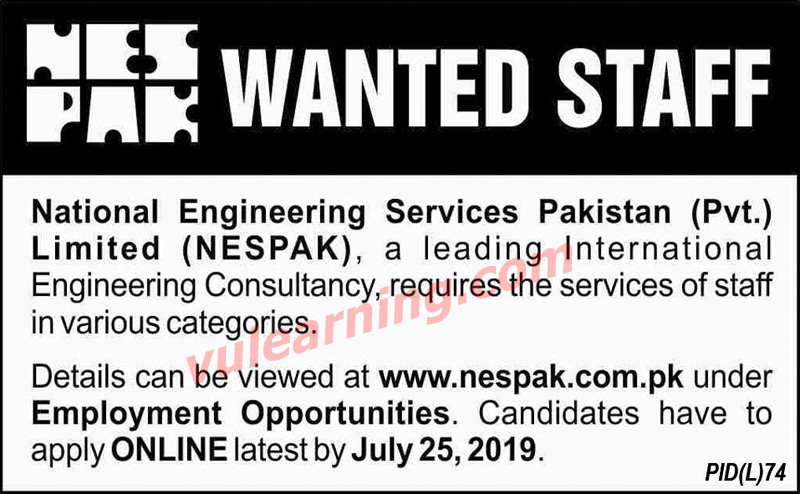 National Engineering Services Pakistan (Pvt.) Limited (NESPAK) Jobs ...