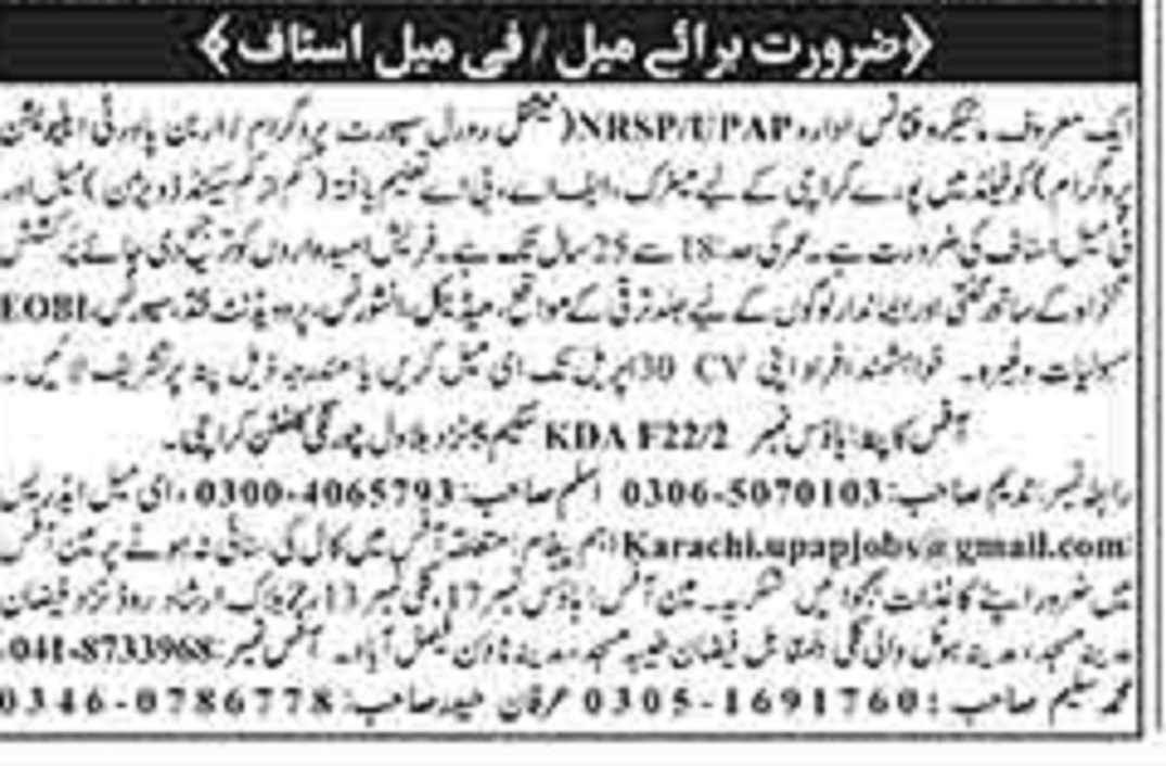 NRSP / UPAP Famous Microfinance Organization Jobs 2020 for Matric, F.A ...